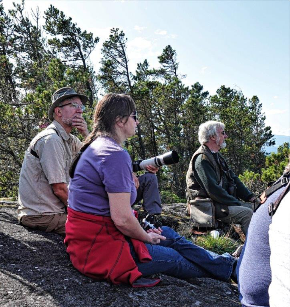 Hawk watch at Beechey Head - Sept. 28, 2019 - Nature Nanaimo
