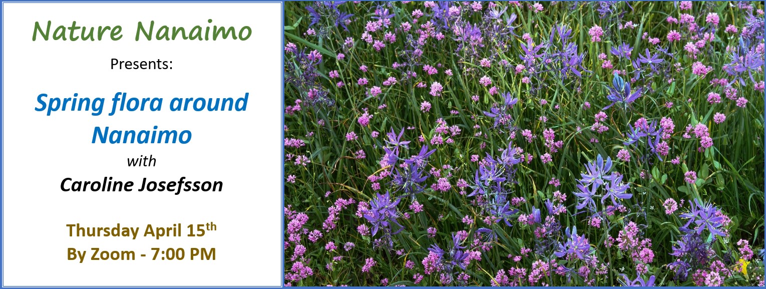 Spring flora around Nanaimo with Caroline Josefsson - April 15, 2021 ...