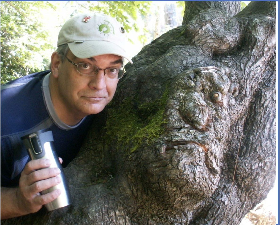 How old are the trees in old-growth forests on Vancouver Island? with ...